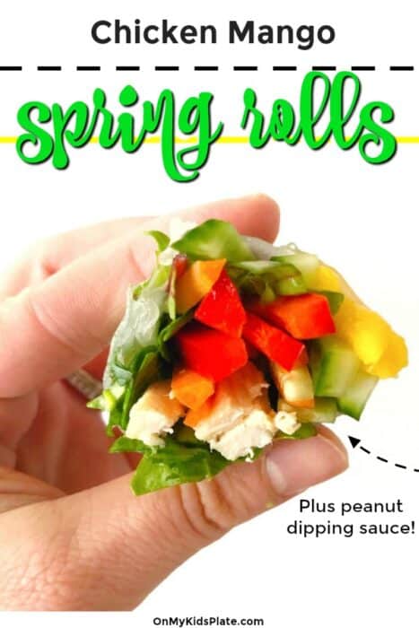 Mango Chicken Fresh Crisp Spring Rolls With Peanut Dipping Sauce