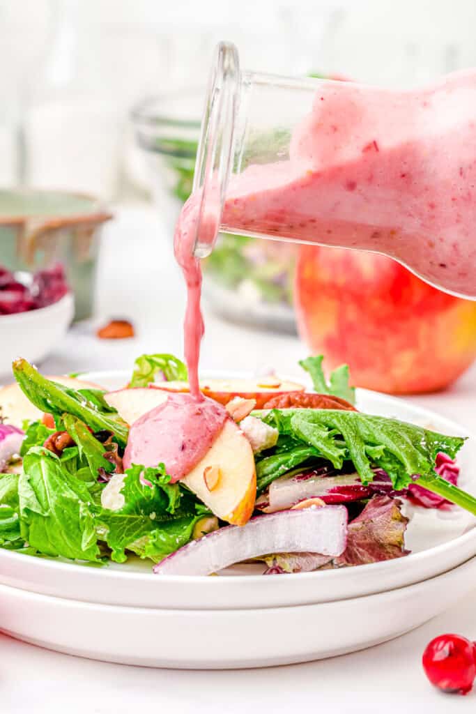Cranberry Vinaigrette Salad Dressing - On My Kids Plate