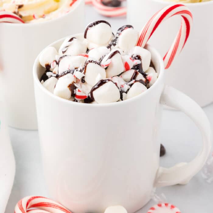 Candy Cane Hot Chocolate - On My Kids Plate